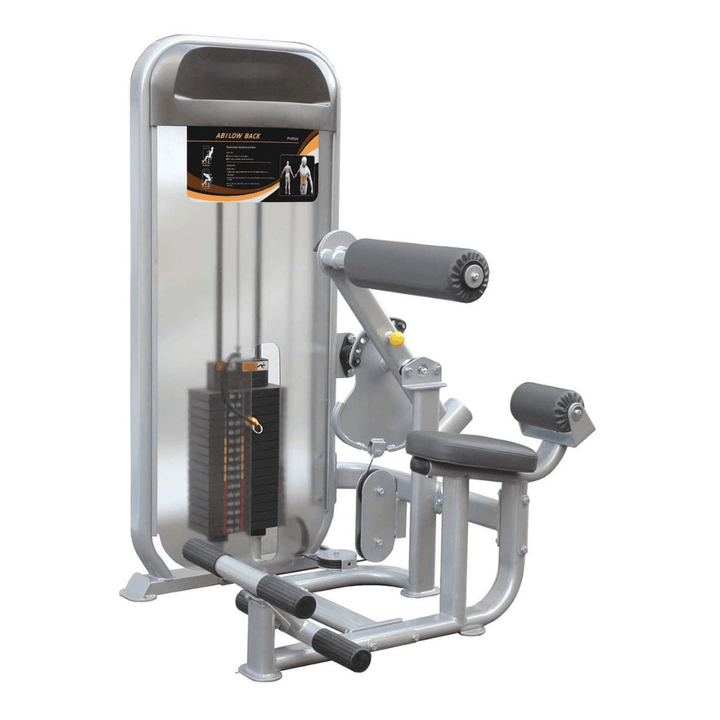 Commercial Pin Loaded Back and Core Machine | Gym and Fitness
